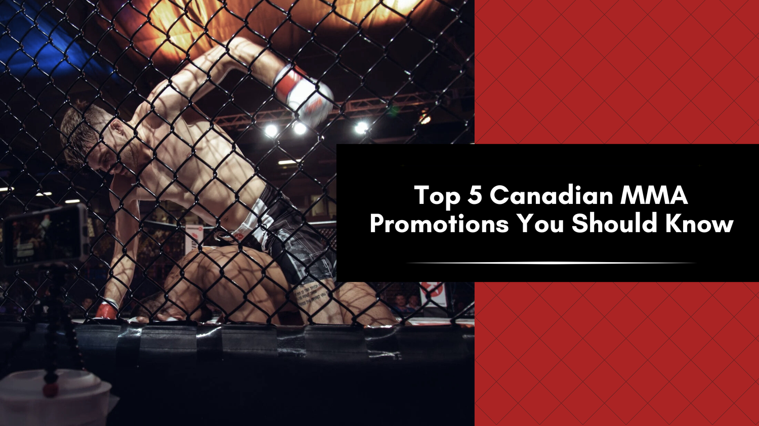 Top 5 Canadian MMA Promotions You Should Know | NorthBlood