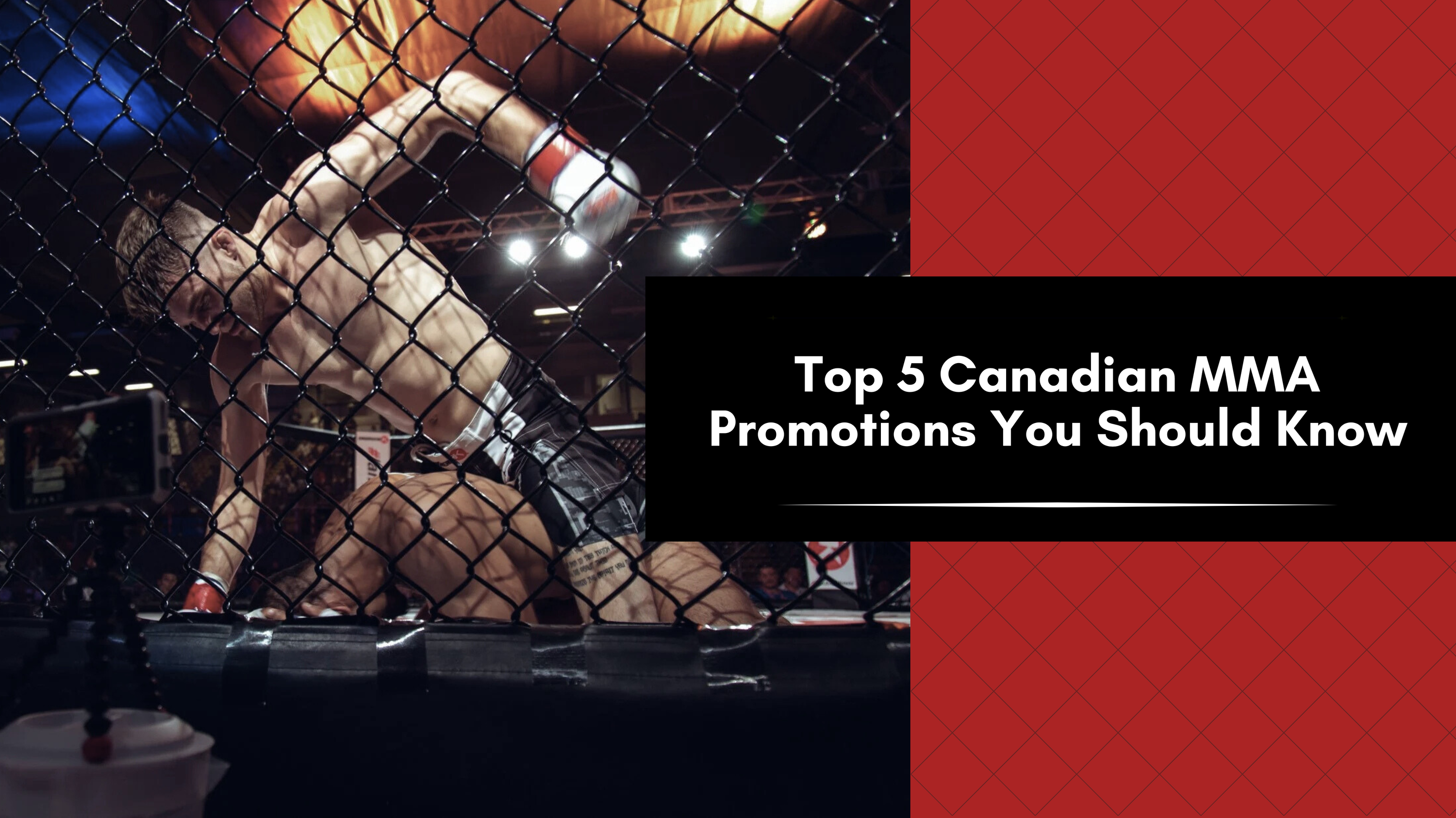 Top 5 Canadian MMA Promotions You Should Know | NorthBlood